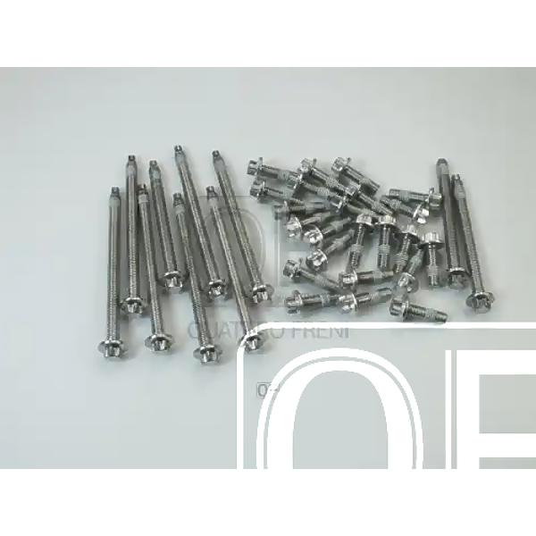 QUATTRO FRENI QF30A00002 болт крепежный, комплект