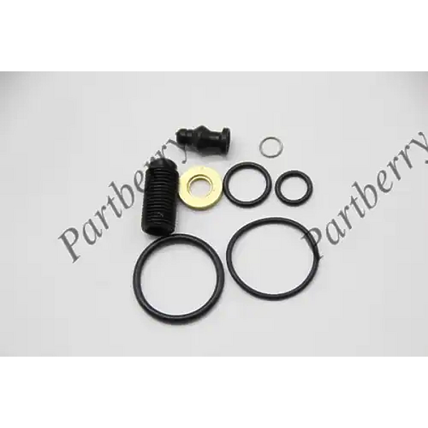 PARTBERRY PB192908 ремкомплект форсунки