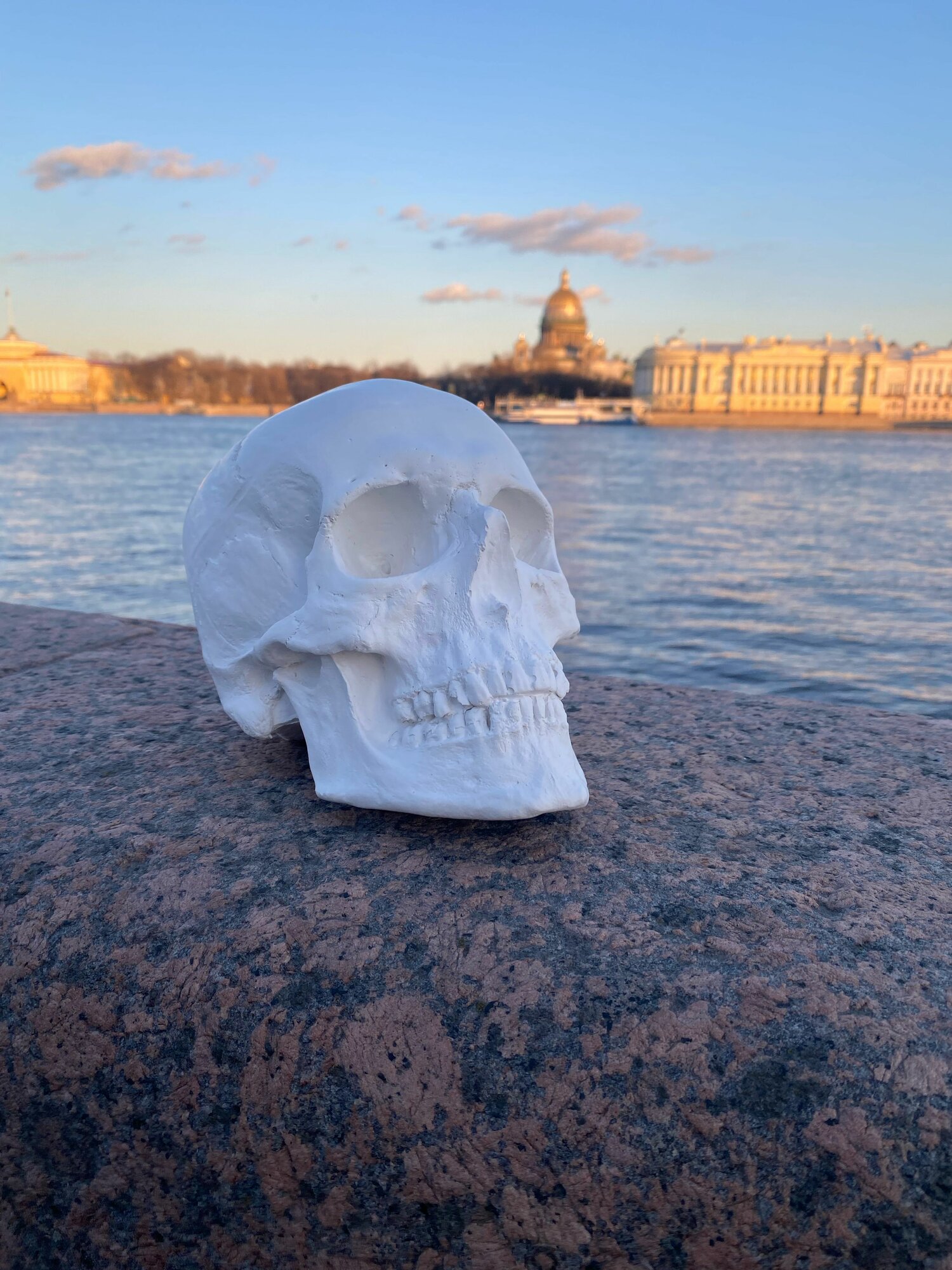 Череп реалистичный, масштаб 1:1, ручная работа