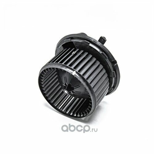 Мотор отопителя PRAVT PRA21R238101178