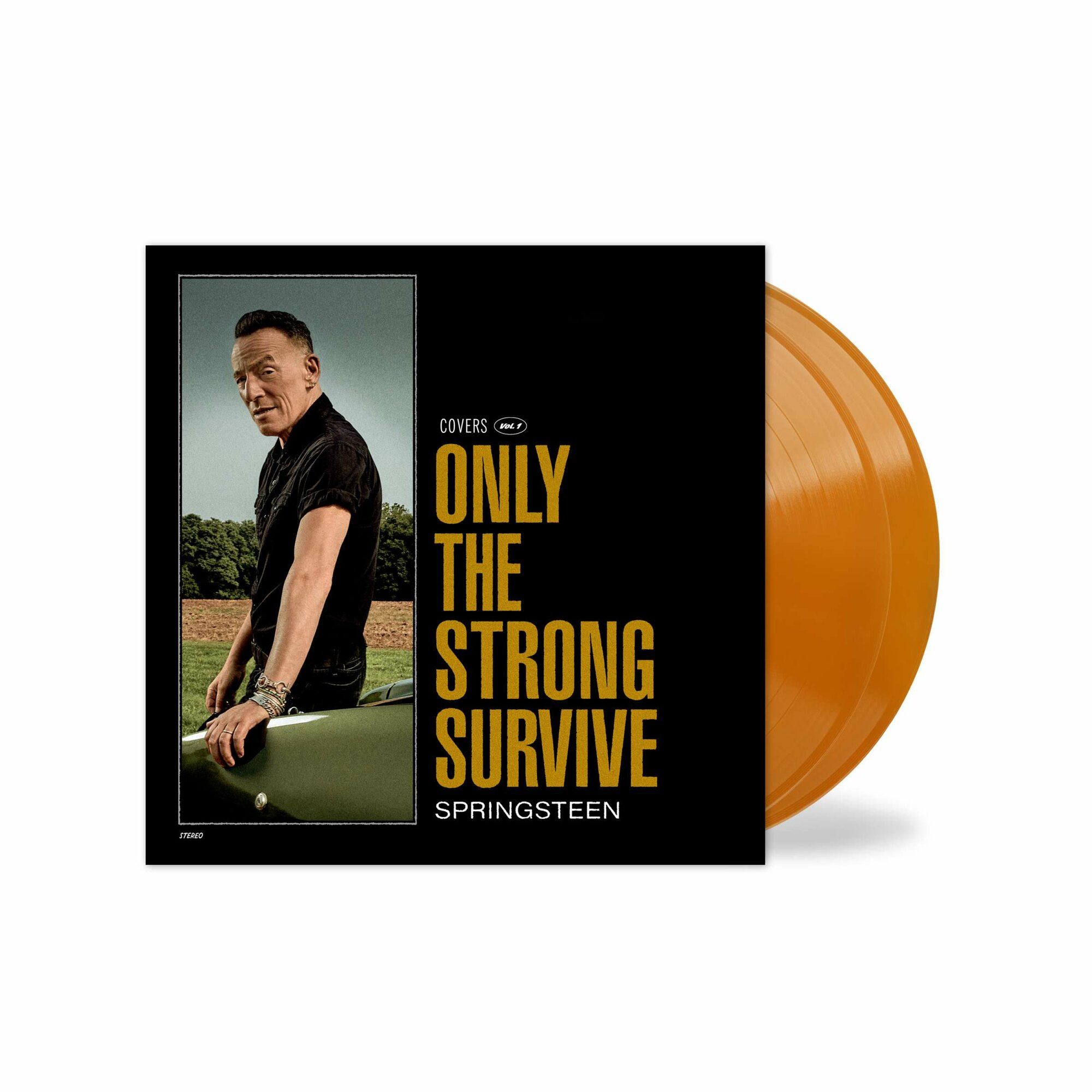 Виниловая пластинка Bruce Springsteen - Only The Strong Survive (Limited Indie Exclusive Edition) (Translucent Orbit Orange Vinyl) (2 LP)