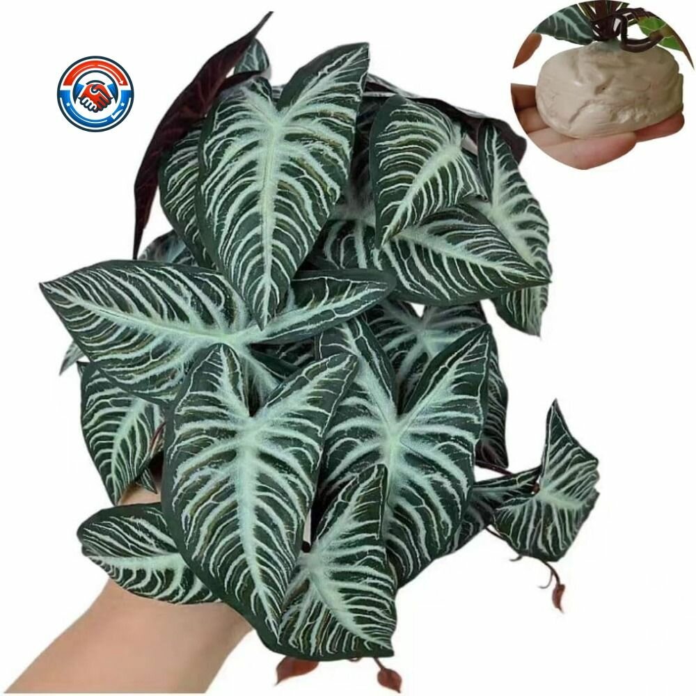 Искусственное аквариумное растение 25 см, зелёное пластиковое декоративное растение-украшение, безопасное для рыб, лёгкое в уходе, подводный декор для пресноводного аквариума