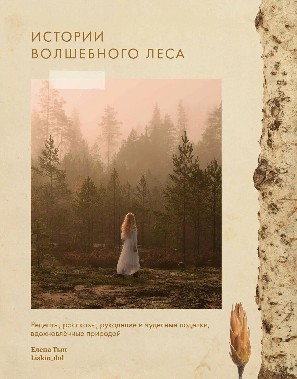История Волшебного леса . Рецепты, рассказы, рукоделие и чудесные поделки , вдохновленные природой