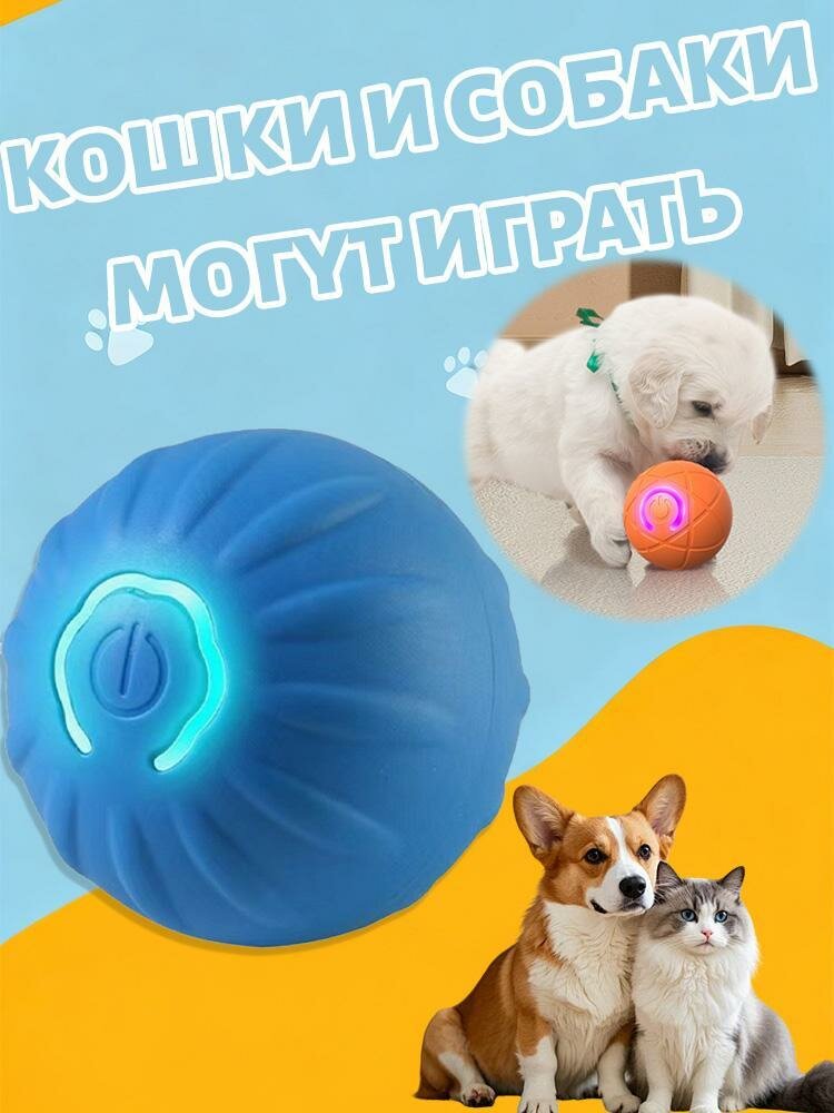 Интерактивные игрушки для собака, умный собачий мячик