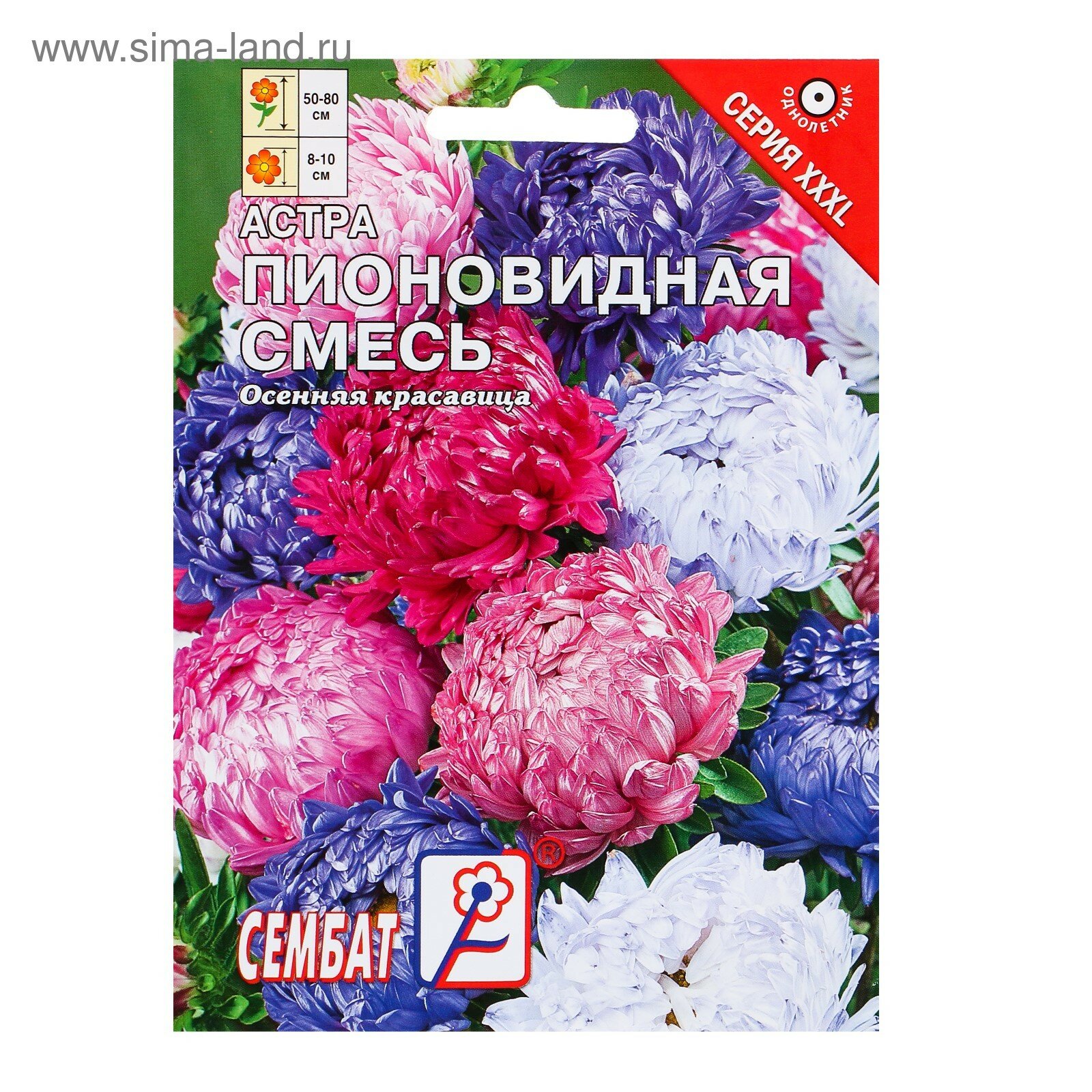 Семена цветов Астра «Пионовидная смесь - Осенняя красавица», XXXL, 2 г