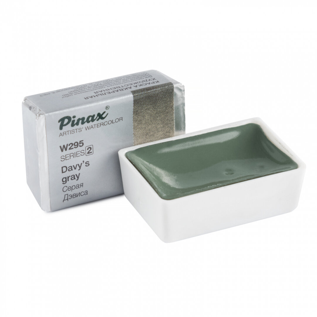 Pinax Акварель "Artists" в кювете, Серая Дэвиса, 2,5мл, W295