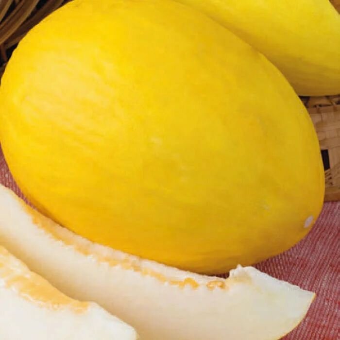 Коллекционные семена дыни Таманская