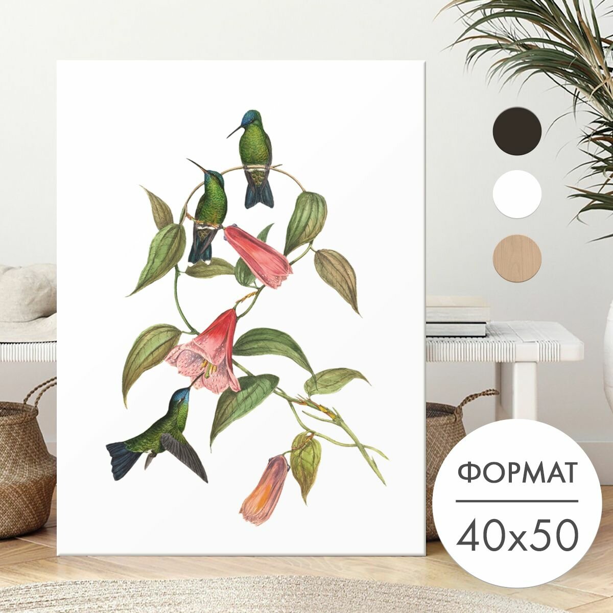 Постер 40х50 без рамки "Колибри" для интерьера