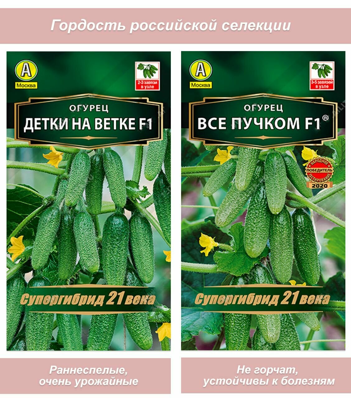 Семена известных скороспелых огурцов