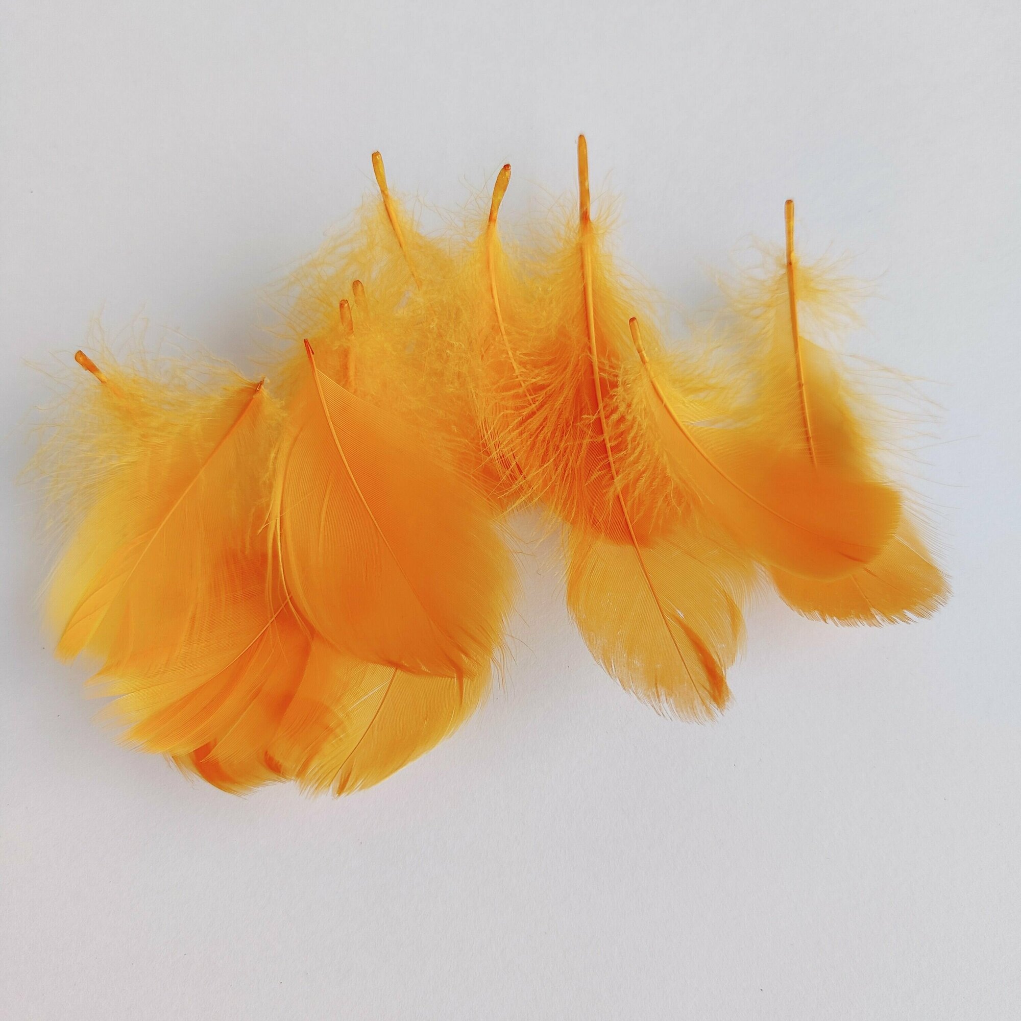 Перья декор янтарные №9, 100 штук
