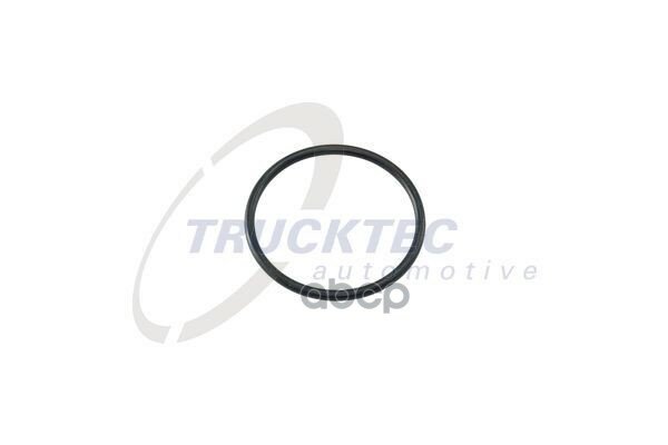 Кольцо термостата ! (р) 60x4 2xMB, MAN, Iveco TruckTec арт. 0167029