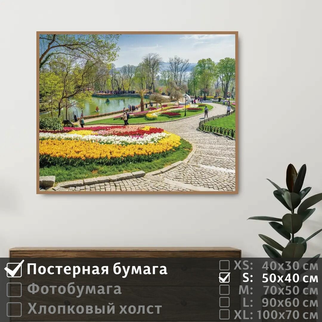 Постер на стену Весенние Тюльпаны В Стамбуле 50х40 см ПолиЦентр