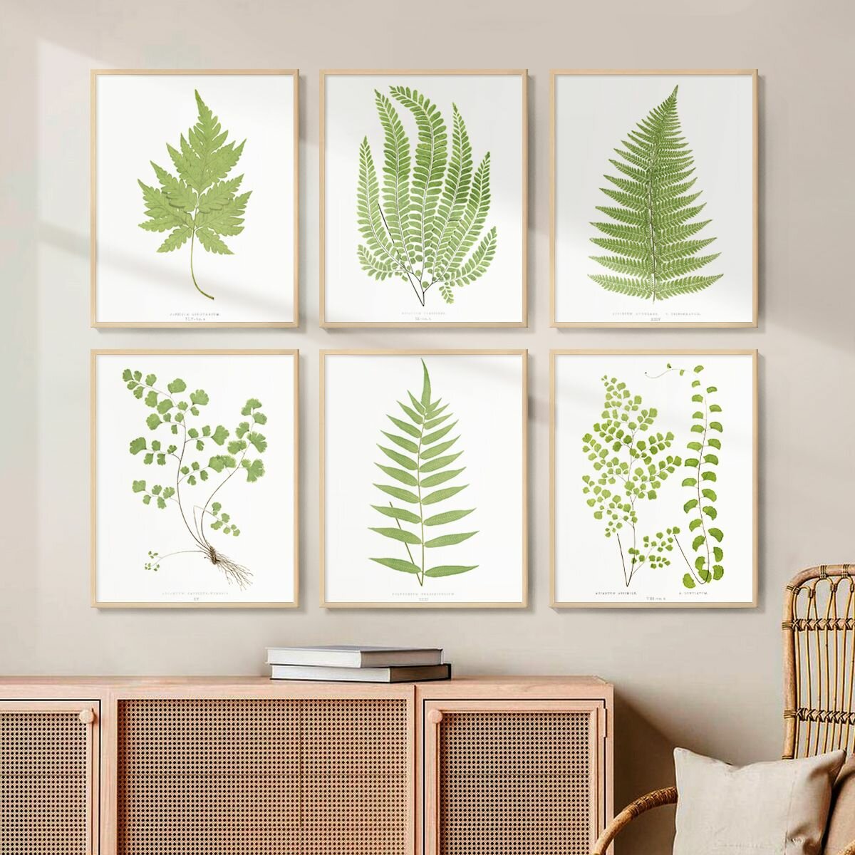 Набор постеров 6 шт "Ботаническая иллюстрация, растения" 50x70 плакат для интерьера, картина на стену