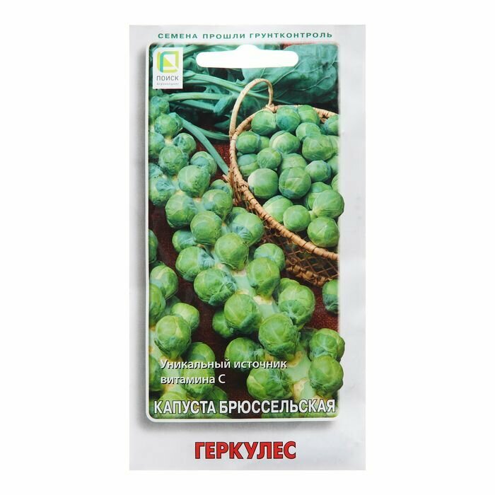 Семена Капуста брюссельская Геркулес , 0.5 г, Поиск