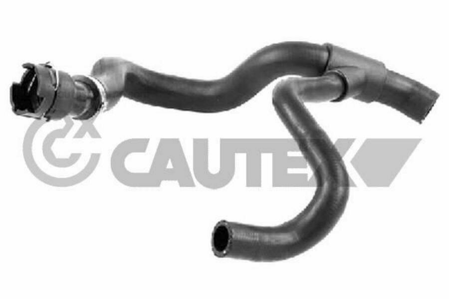 CAUTEX 753567 Патрубок радиатора нижн FORD MONDEO III дизель 02-