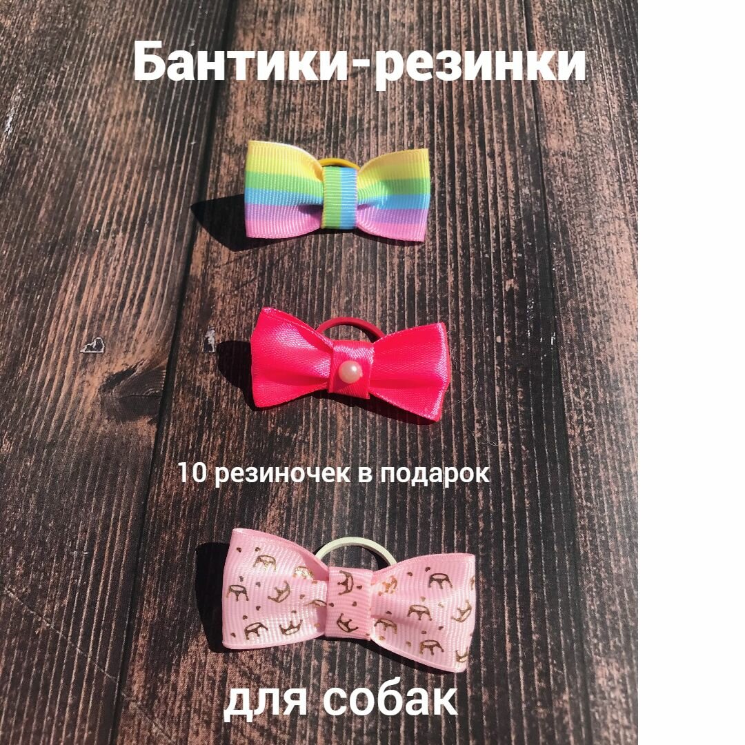 Бантики-резинки для собак