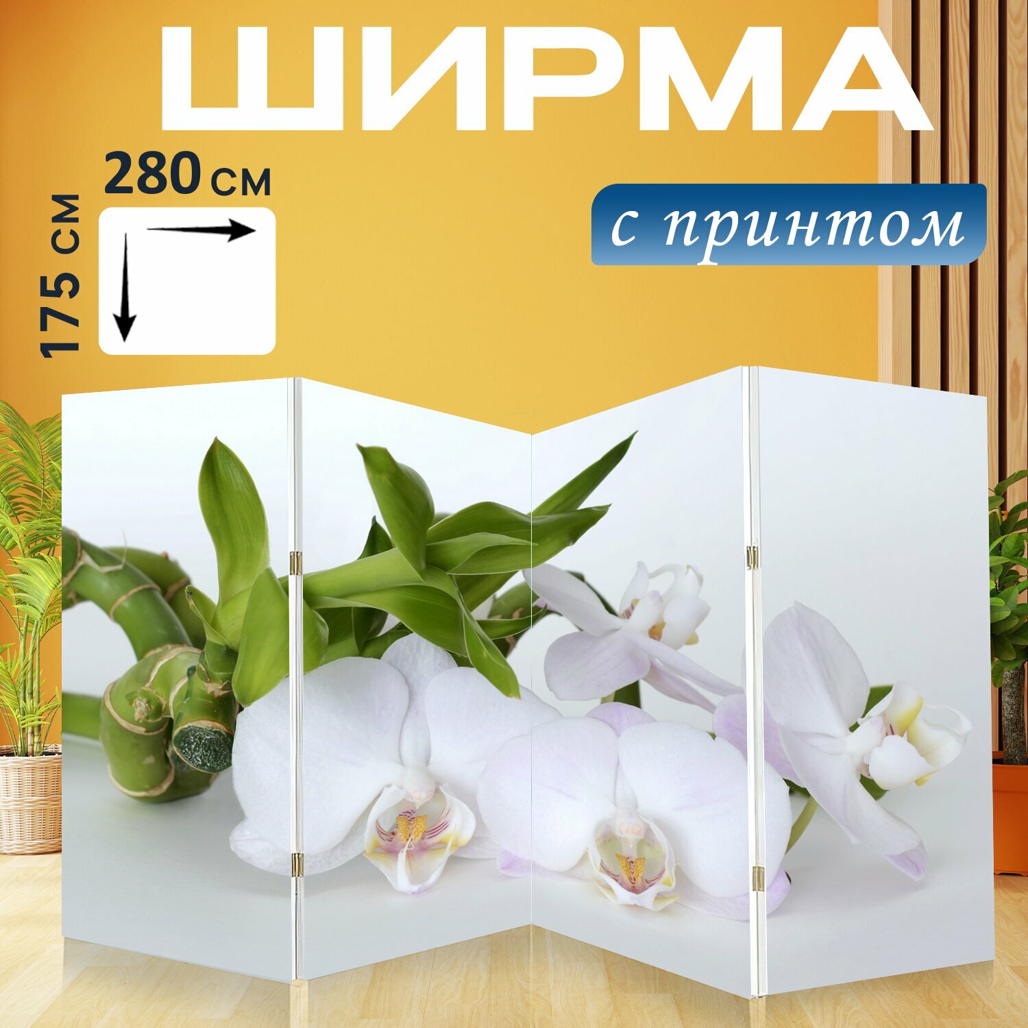 Ширма "Орхидея, орхидея цветок, бамбук" раскладная перегородка для зонирования с принтом на холсте