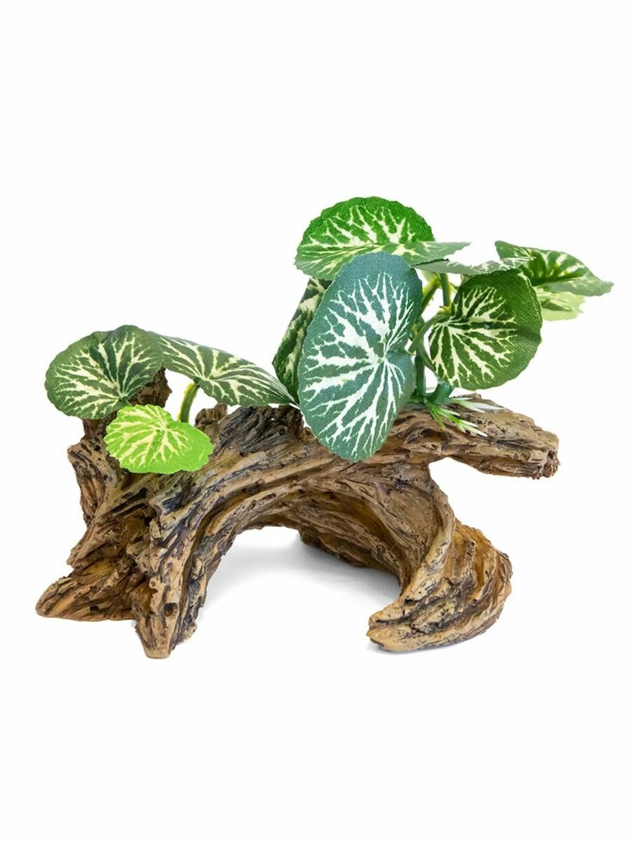 Коряга с растениями Laguna, 130*60*50мм