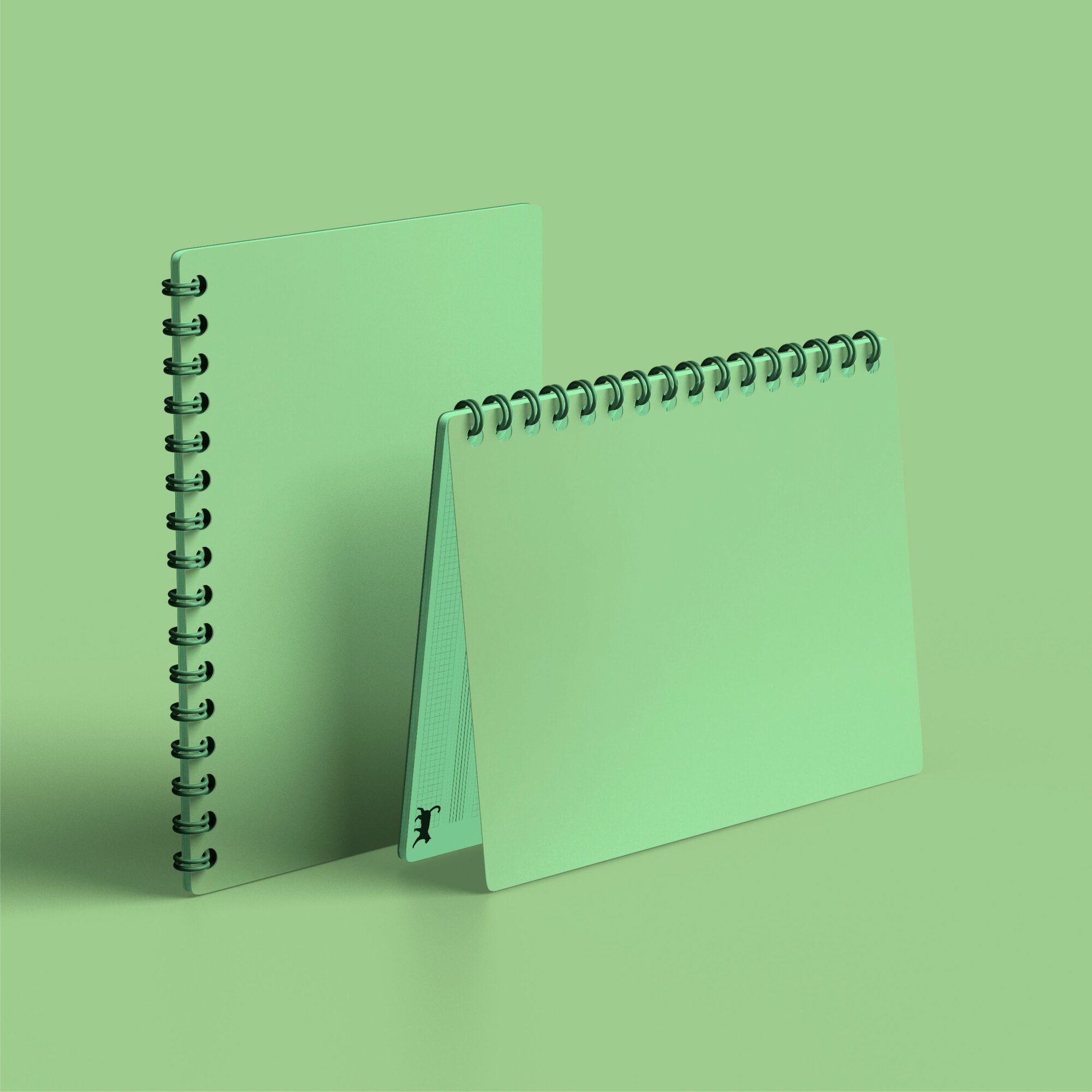 Тетрадь для записи иероглифов Ташка создает, 90 страниц А4, Мятный