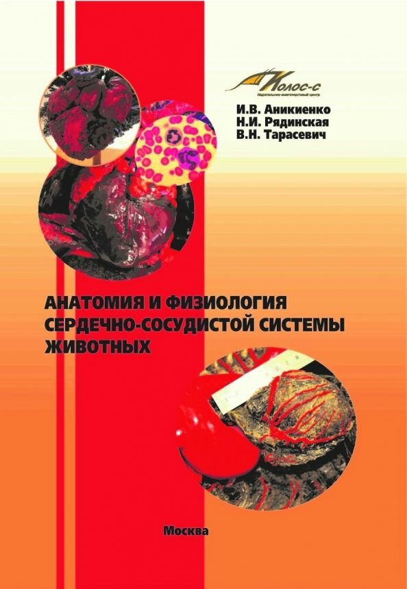 Анатомия и физиология сердечно-сосудистой системы животных