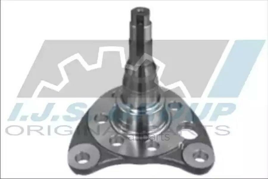 IJS GROUP 101005 цапфа задняя левая!\ VW Passat/Golf/Jetta 90-98