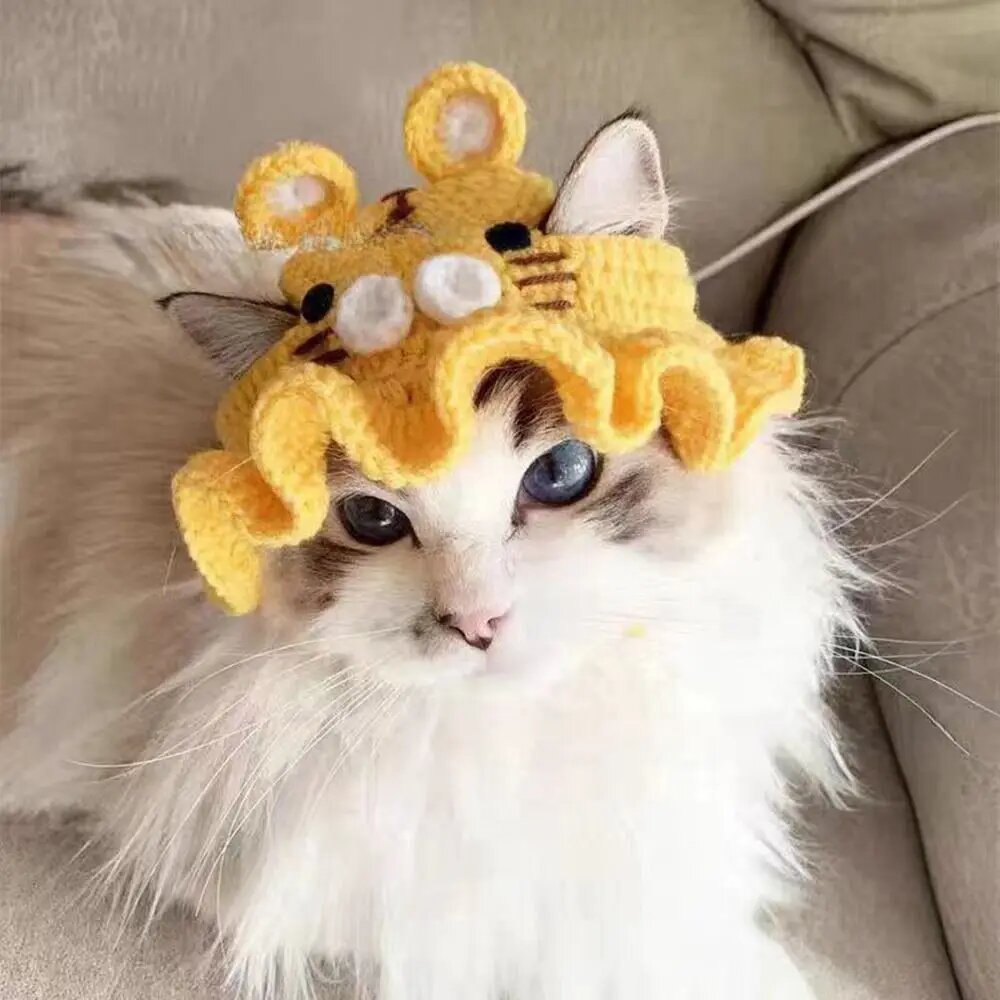 Милая шапка с котом, забавные Домашние животные, F