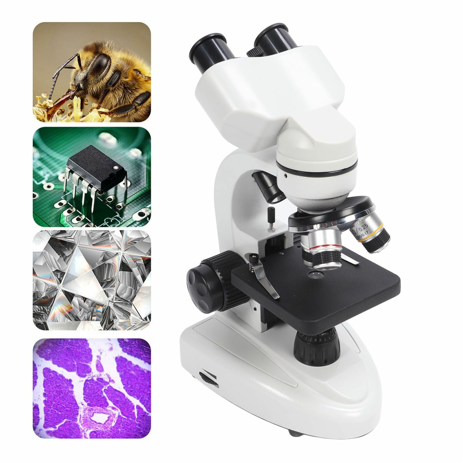 Бинокулярный микроскоп