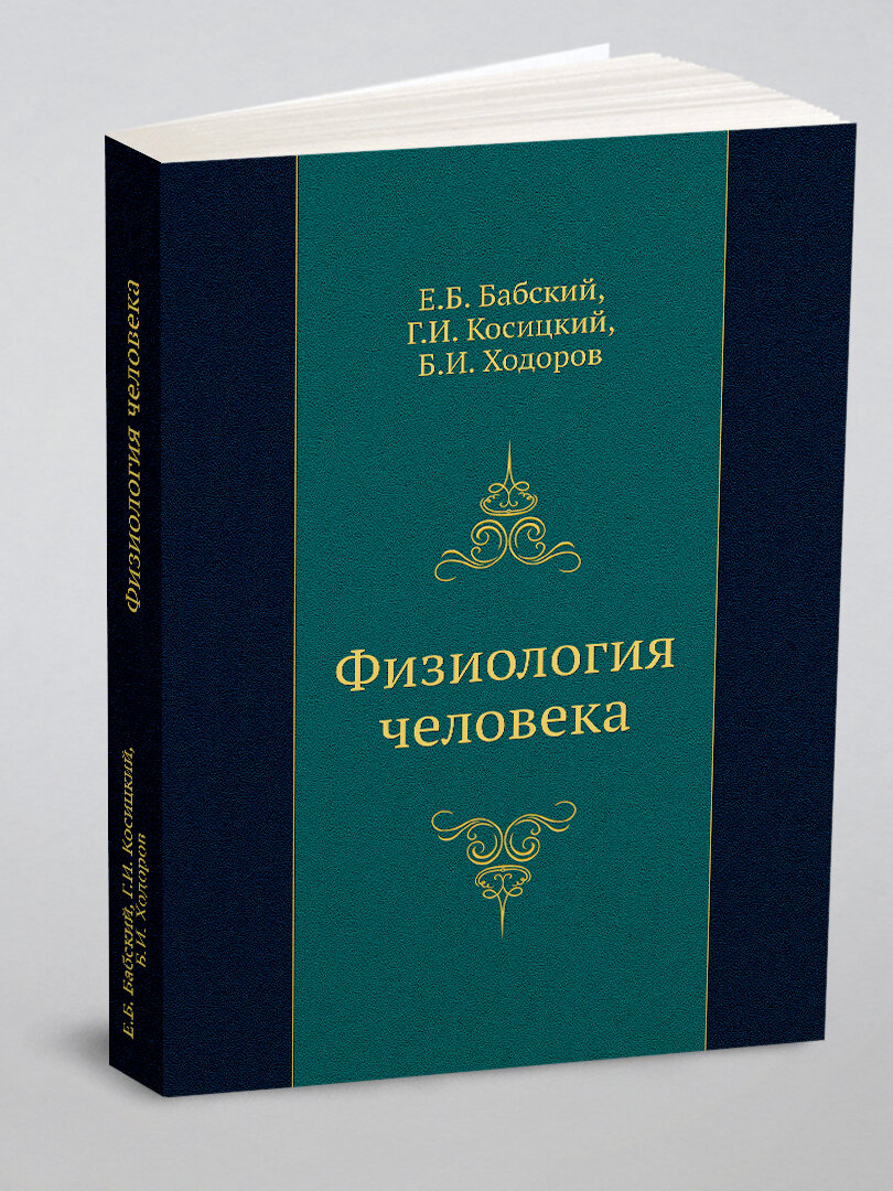 Физиология человека