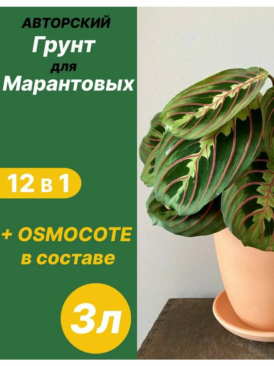Грунт для Марантовых 3л готовый