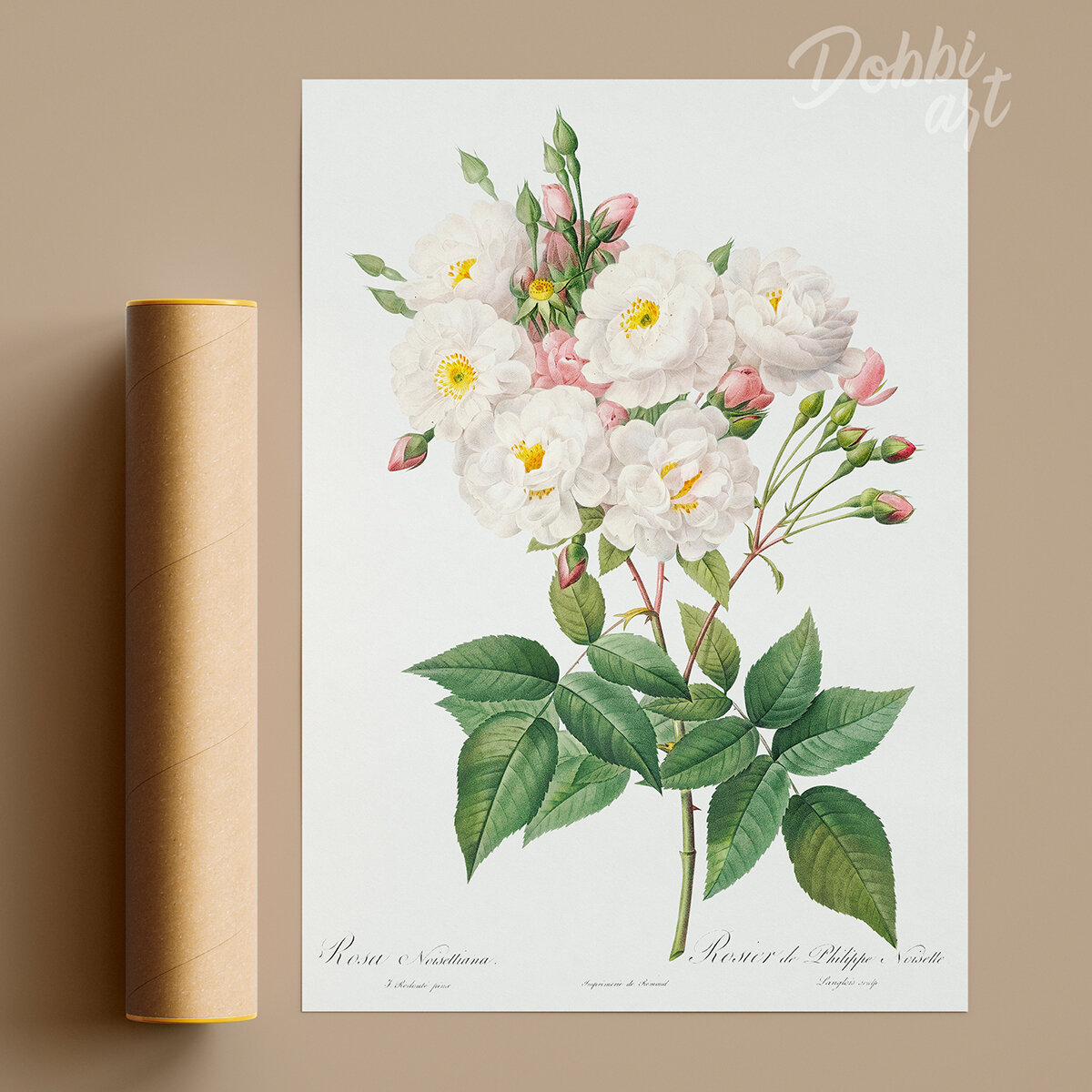 Постер Роза винтажный 60х80 см без рамы/ Розы, цветы, винтаж, минимализм/ Постер для дома, интерьера, декор на стену, Плакат интерьерный, подарок девушке