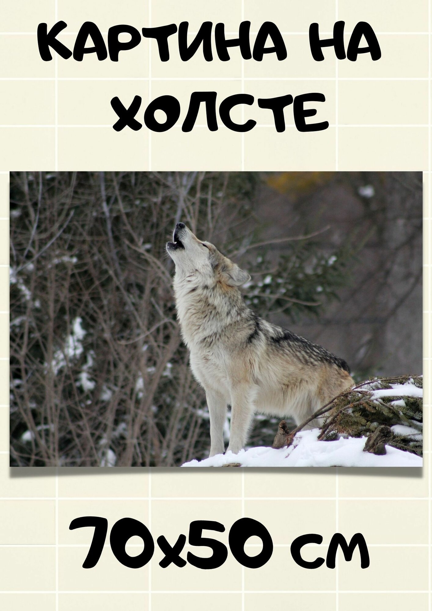 Картина с дикими животными "Волк воет в лесу зимой" 70х50 см