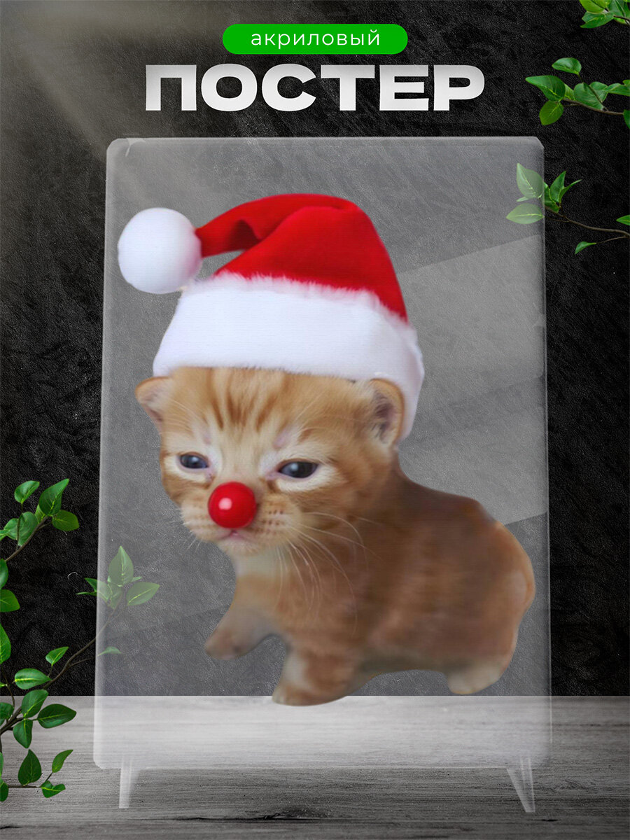 Акриловый постер на подставке с цветным принтом на подставке новогодний подарок с приколом котик