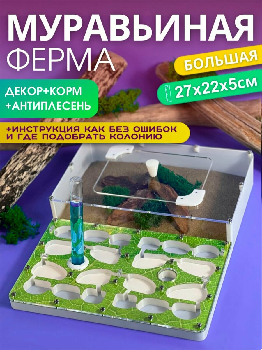 Большая муравьиная ферма AntBerry. Полный комплект. Формикарий для муравьев