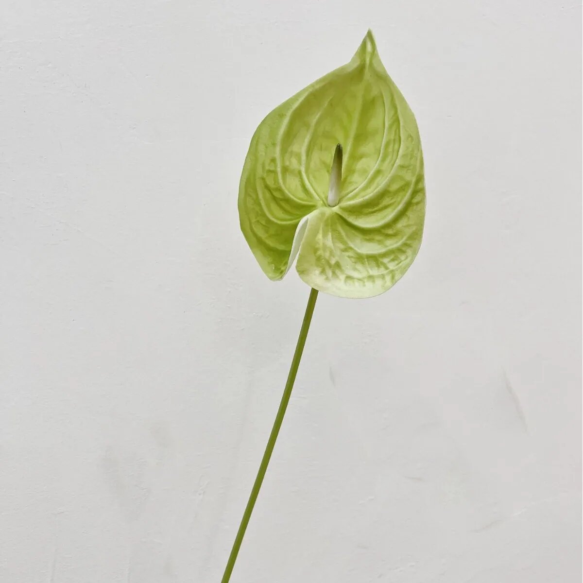 Искусственный антуриум 22,4 дюйма Green