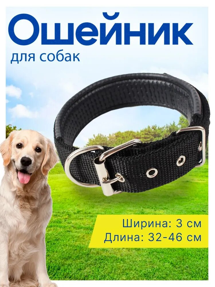 Ошейник для собак крупных и средних пород с подкладкой из мягкой кожи ширина 3см