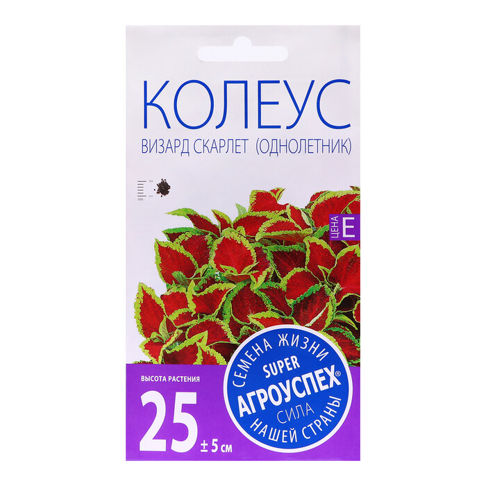 Семена Цветов Колеус «Визард Скарлет», 10 шт, «Агроуспех»