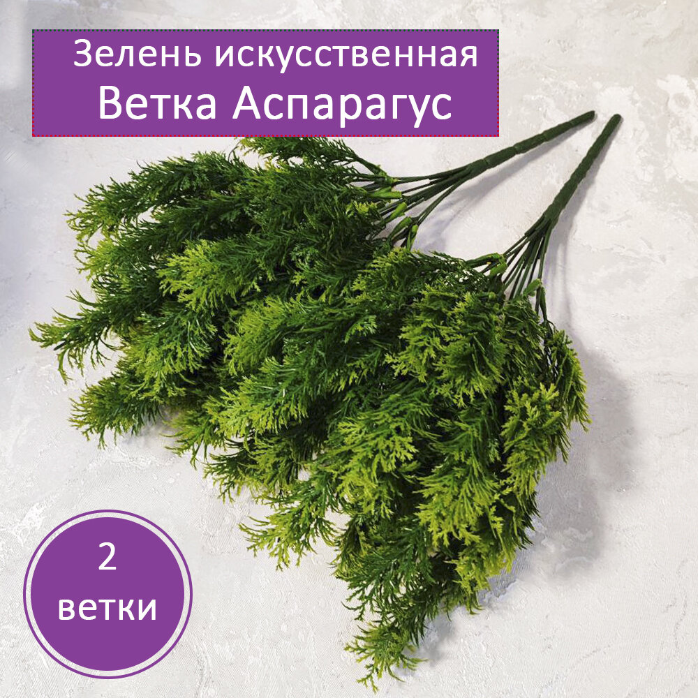 Зелень искусственная VJ Molds Букет Аспарагус, зеленый. 2 веточки.