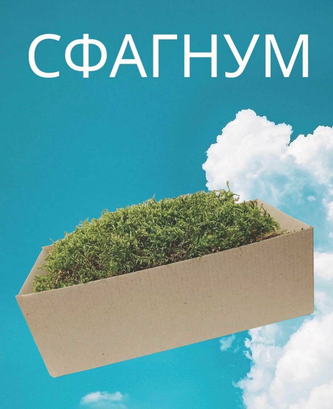 Мох натуральный лесной зеленый пластами 4,5 л.