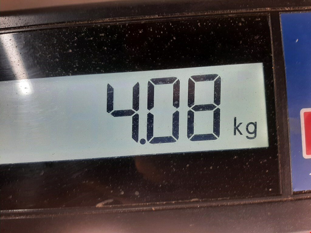 Кронштейн промежуточного вала Fiat Punto 2 (188) 46809899 арт. 877286