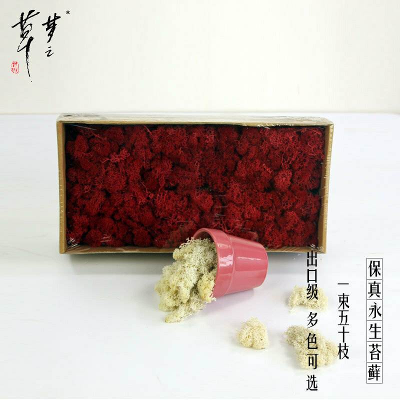 Вечный мох Grass of Dreams mzchc-0035, искусственный, для DIY