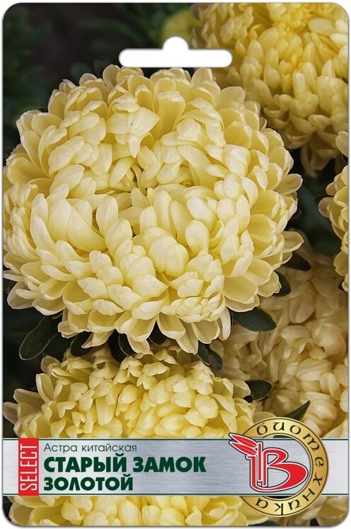 Астра Старый замок селект Золотой китайская 100шт Одн 70см (Биотехника)