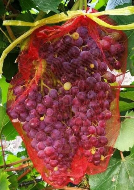 Мешки садовые Цена что надо