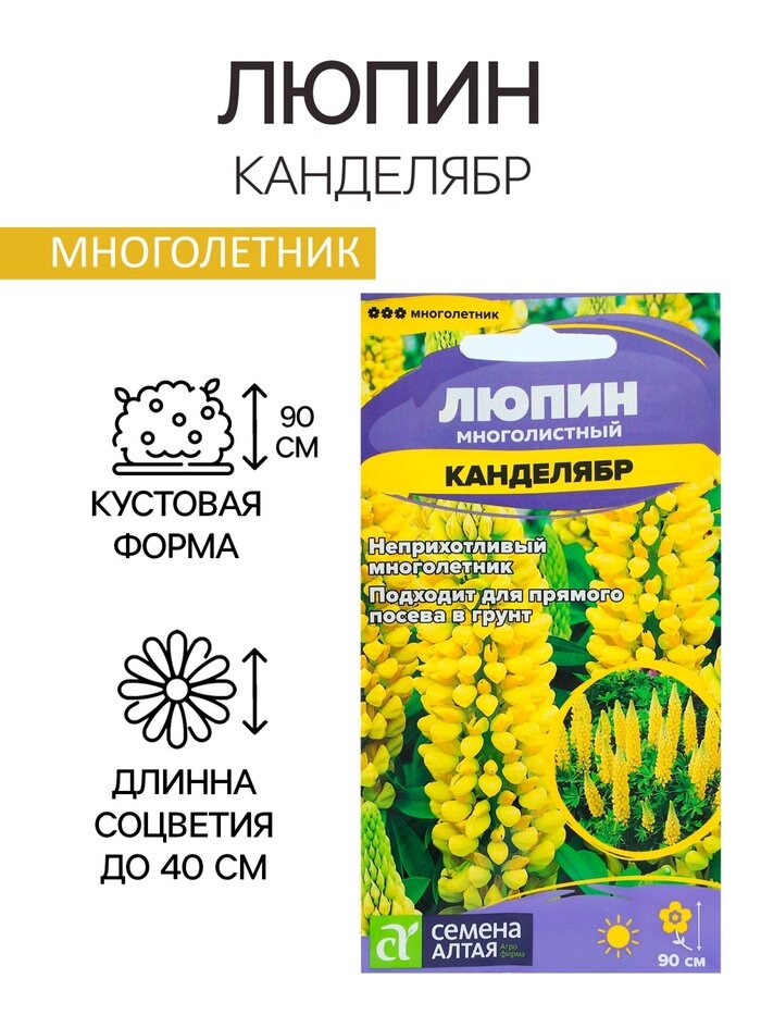 Семена цветов Люпин многолистный «Канделябр», 0.3 г, многолетник, «Семена Алатя»