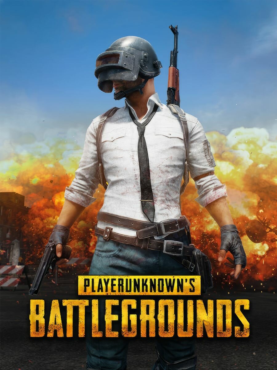 Постер для интерьера на стену (60х90 см) PUBG