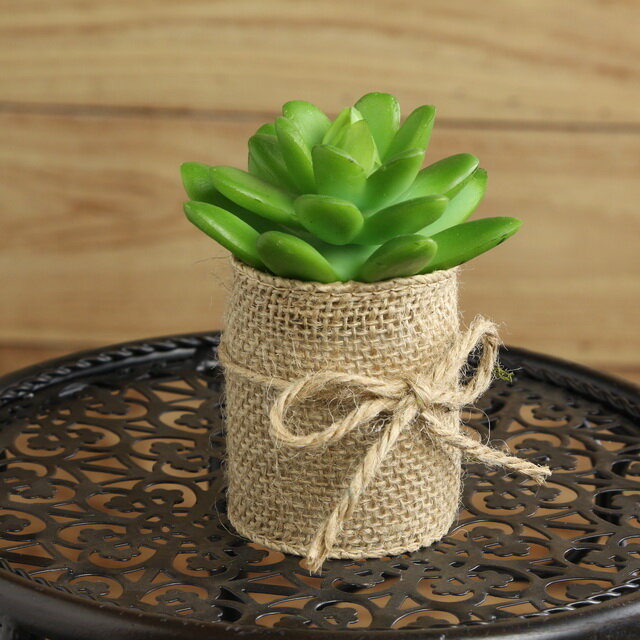 Искусственное растение Эхеверия Green Prince в джутовом кашпо 12 см, Kaemingk, 800378-1