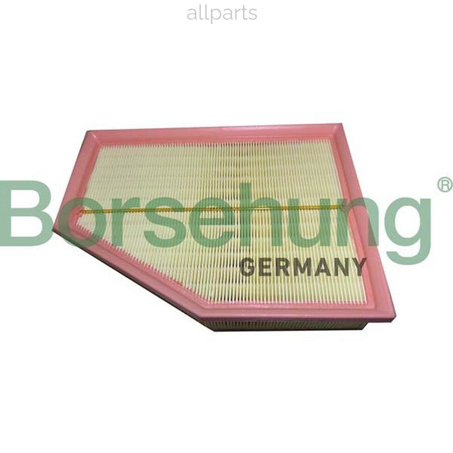BORSEHUNG B12450 Воздушный фильтр
