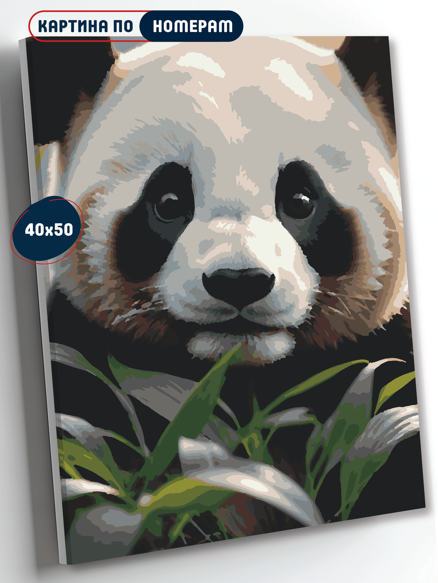 Картина по номерам "Панда", Холст на подрамнике 40х50, набор для рисования