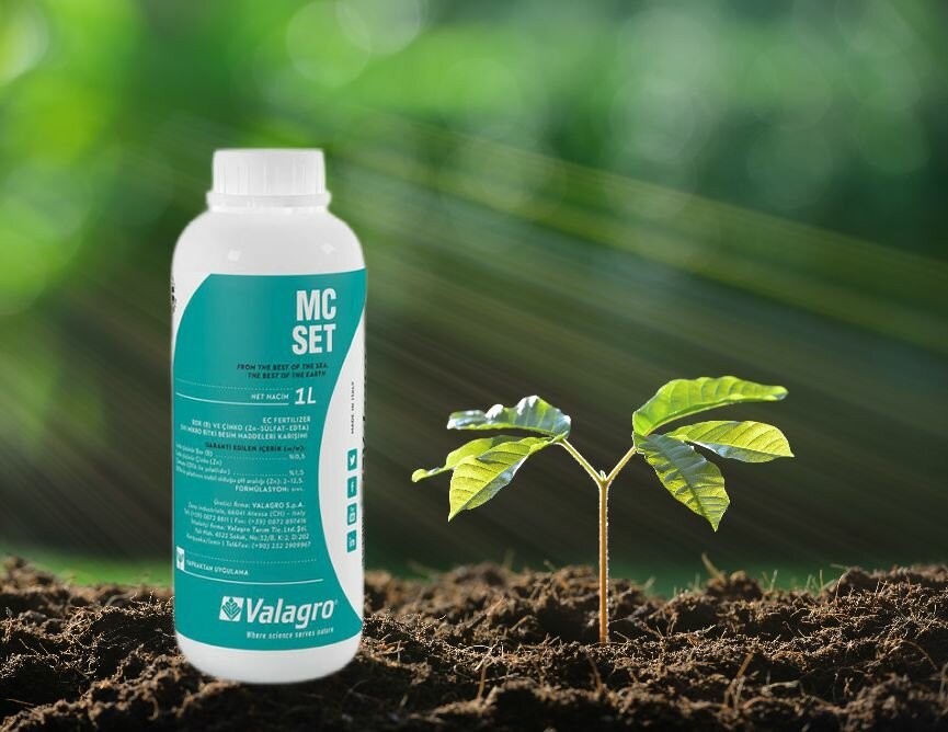 Valagro МС Сет бустер цветения 1 л