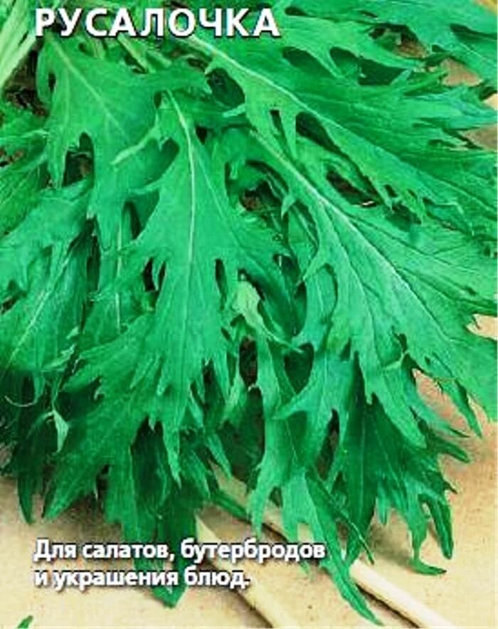 Коллекционные семена капусты японская Русалочка