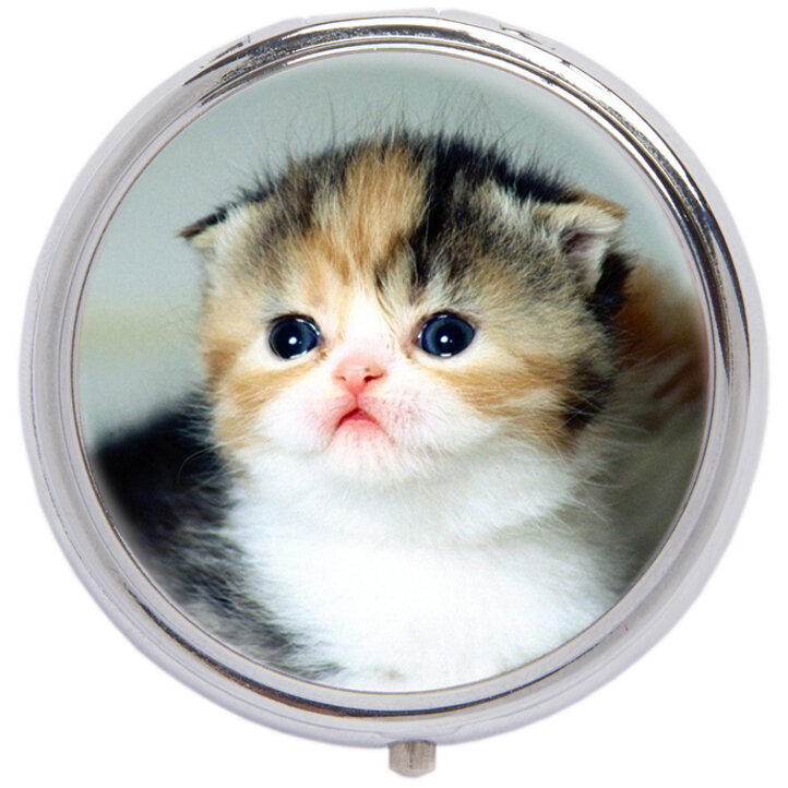 Таблетница маленький котенок